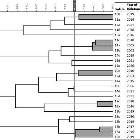 hca differentiation by patient dendrogram of 25 longitudinal bcc