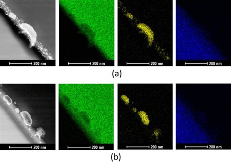 Stem Images And Elemental X Ray Maps A Top Panel Images Stem Haadf