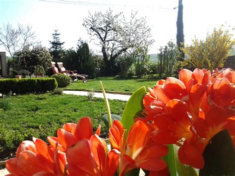 Carte Michelin Ancy Viamichelin