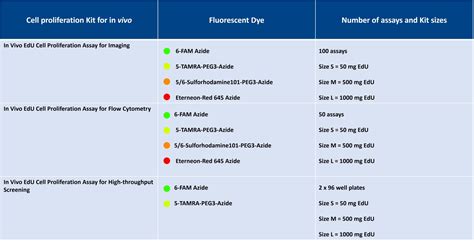 In Vivo Edu Cell Proliferation Assay For Imaging