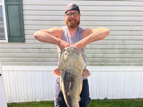 Michigan Angler Shatters Flathead Catfish Record