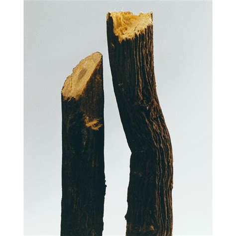 Jean Marie Binet On Instagram Had A Very Special Moment Shooting Some