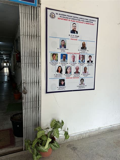 Posts From Pusa… On My Last Visit I Had Written About The Pusa