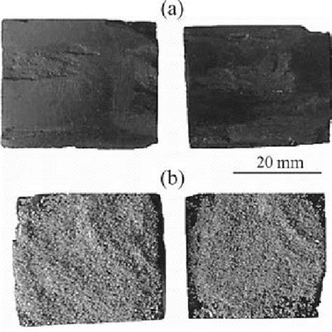 Ao Magerl Classification For Type A Fractures Download Scientific Diagram