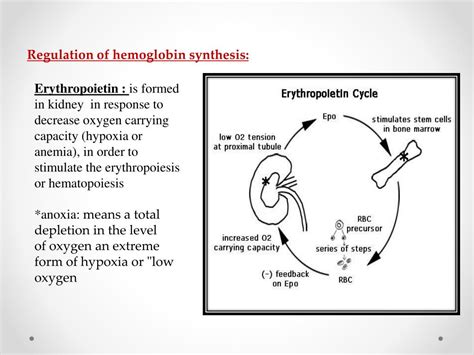 Elevated Hgb And Hct Levels High Hemoglobin Count Causes Treatments