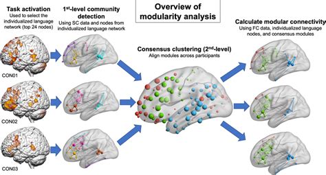 Graphical Summary Of The Modularity Analyses Using Real Data From