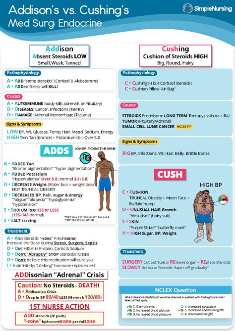 1 Addisons Vs Cushings 10 Addisons Vs Cushings Med Surg Endocrine Pathophysiology C