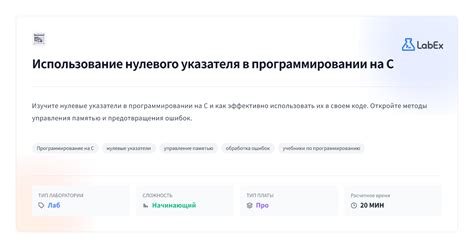 Использование нулевого указателя в программировании на C Labex
