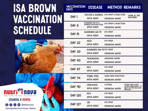 Bird Vaccination Schedule Vaccine Schedule