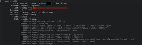Terminal Vs Command Line Vs Shell Vs Console Are They Really Different