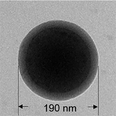 Morphology Of Acceptor Beads As Imaged By Transmission Electron