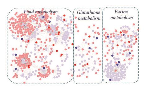 Correlation Analysis Of Genes Proteins And Metabolites Regulated In