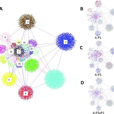 Weighted Gene Correlation Network Representing Gene Expression In Four