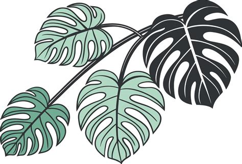 Monstera Decor Vector Art Icons And Graphics For Free Download