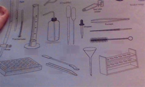 Laboratory Equipment Diagram Quizlet
