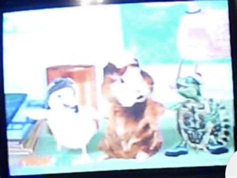 July 17 2010 Nickstory Jr Wiki Fandom