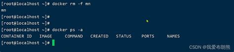 Docker——容器命令介绍、创建nginx容器与redis容器docker Run Name Some Nginx D P 808080 Some Co Csdn博客