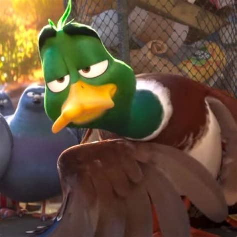 Patos Pode Quebrar Recorde Negativo Na Illumination O Vício