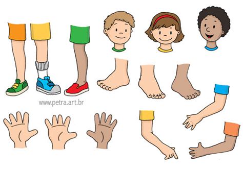 EspaÇo Educar Atividades Sobre Corpo Humano Para A Educação Infantil