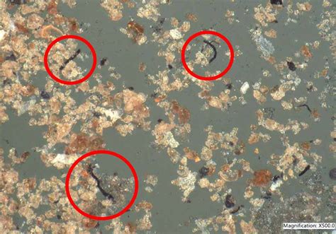 Why Oil Filter Analysis Should Be In Every Reliability Program