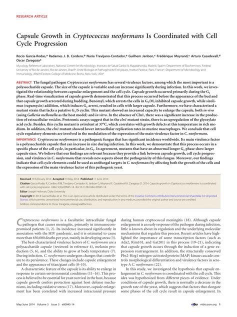 Pdf Capsule Growth In Cryptococcus Neoformans Is Coordinated With