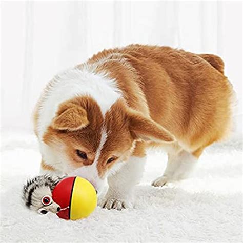 Classic Squirrel Ball Urban Panda