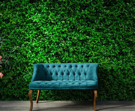 Grass Wallpaper For Walls