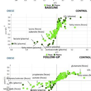 S Plot Of Opls Da Analysis Of The Plasma And Faeces Metabolomics