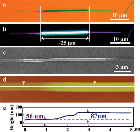 Figure 3 From Organic Single Crystalline P N Junction Nanoribbons Semantic Scholar