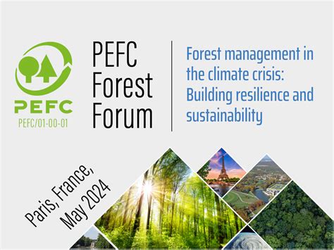 Join Us For The Pefc Forest Forum 2024 Pefc Programme For The