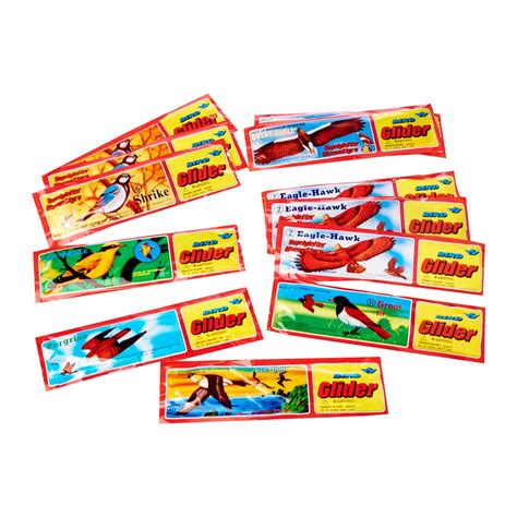 Foam Bird Glider Cgs Party