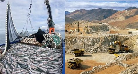 La Pesca Creció 55 3 Interanual En Septiembre Y La Producción Minera
