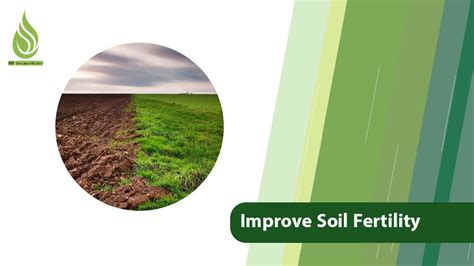 Innovative Solutions To Improve Soil Fertility And Quality