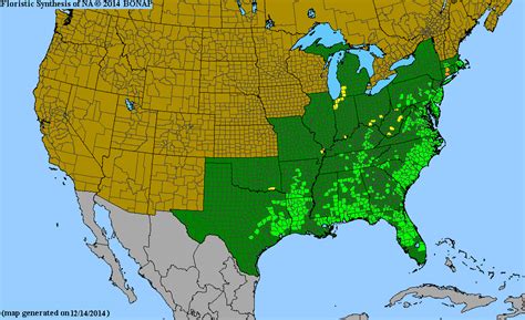 2013 Bonap North American Plant Atlas Taxonmaps