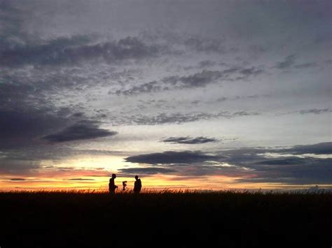 Dodging Bullets Intercontinental Cry