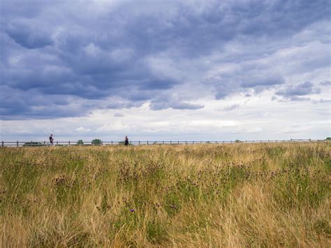 Kenley Estate Agents Park And Bailey