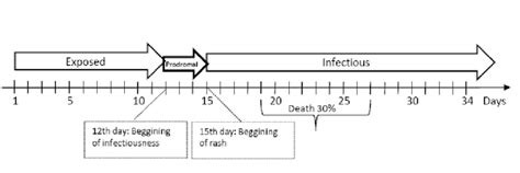 Smallpox Progression Timeline Download Scientific Diagram