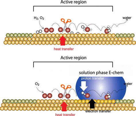 Catalytic Reaction Involving Molecular Oxygen At Gassolid Top And Download Scientific