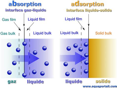 Absorption Definition Science At Christine Voss Blog