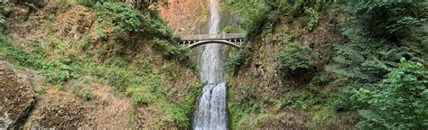 Multnomah Falls Trail Oregon 6 288 Reviews Map Alltrails