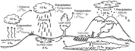 Main Fractionation Steps And Typical Values Of Oxygen Isotope