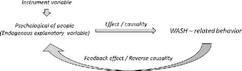An Illustration Of The Feedback Effect Or Reverse Causality In The
