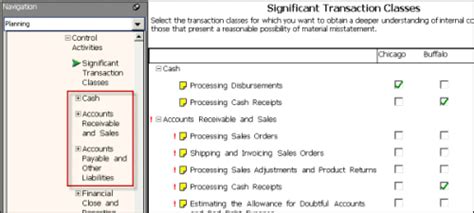 Control Activities Audit Areas