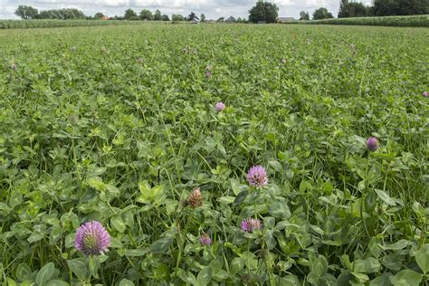 Row Crop Farmers Are Aware Of Agricultural ‘biologicals Future Farming