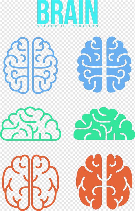 Brain Png Pngwing