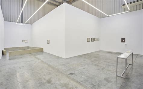 Fazal Rizvis How Do We Remember” Criticism E Flux