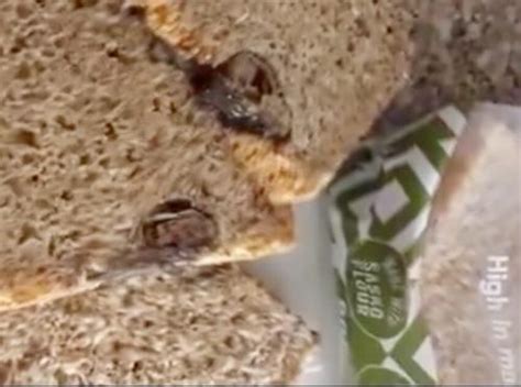 Watch Rat Remains Found In Sasko Bread Bona Magazine