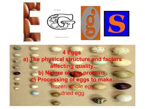 Grading And Quality Parameters Of Eggs Ppt