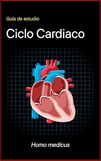 ¿qué Es La Cápsula De Glisson Homo Medicus