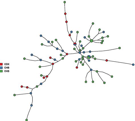 Example Output Figure Of Y Str Network Analysis Performed By